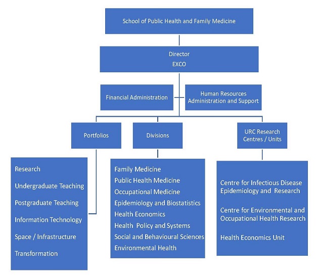 Organisational Structure | University of Cape Town