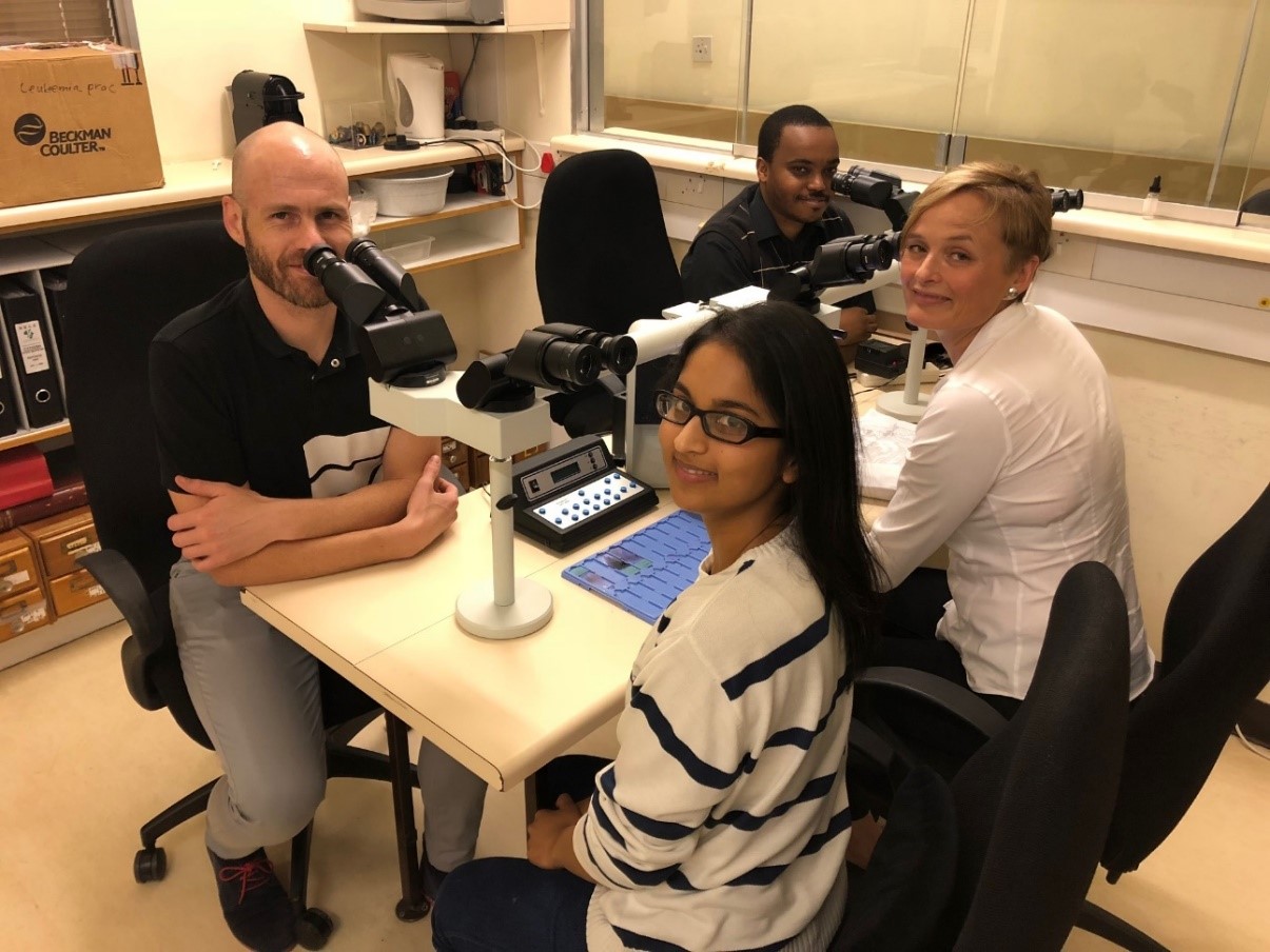 Training | University of Cape Town