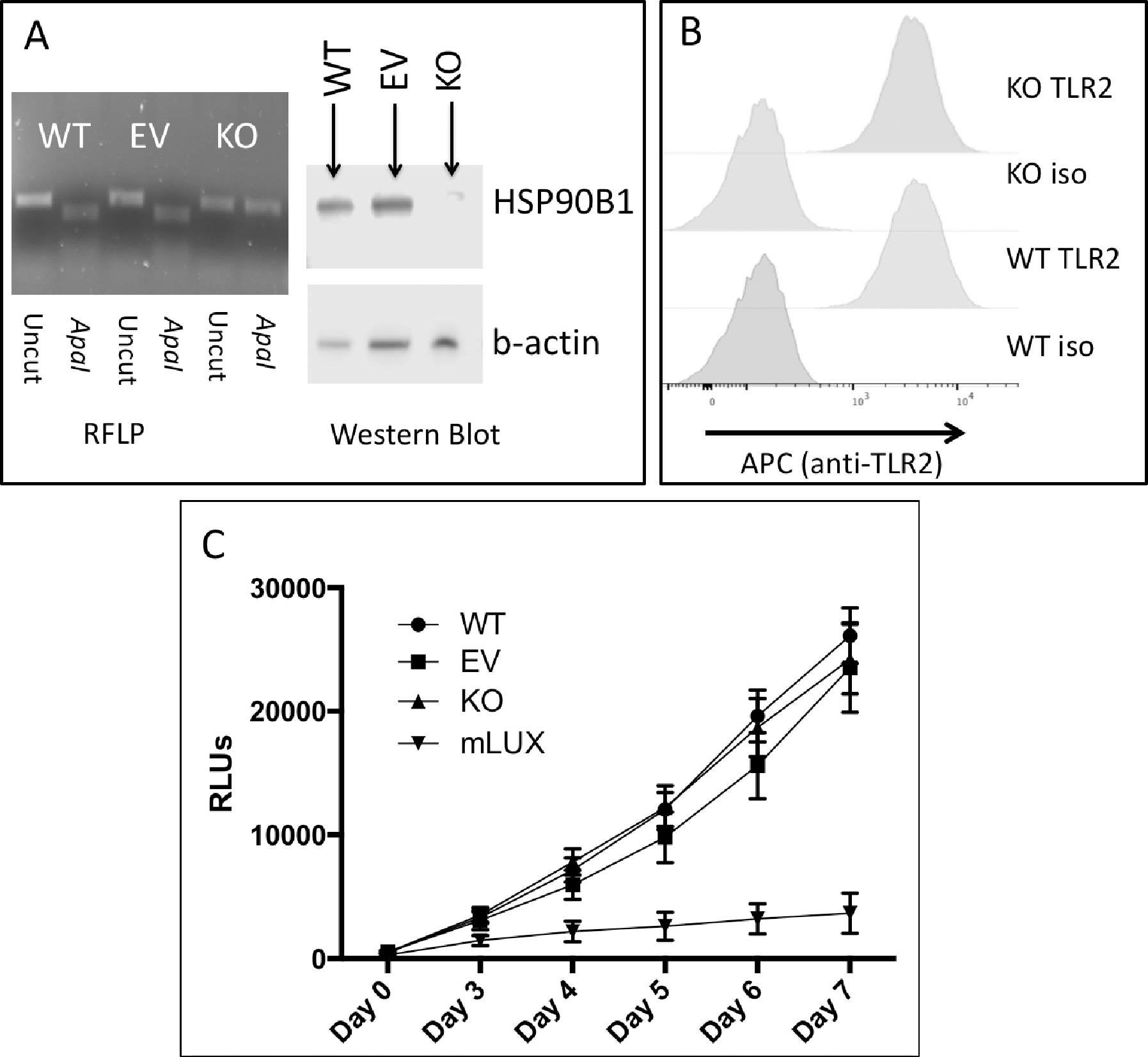 Research: Toll-like receptor chaperone HSP90B1 and the immune response ...