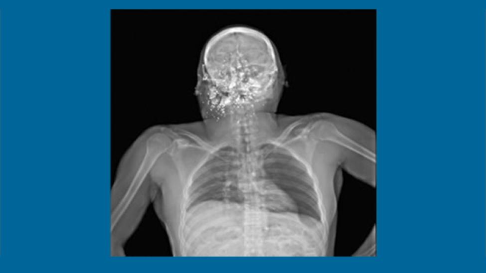 Home | University of Cape Town