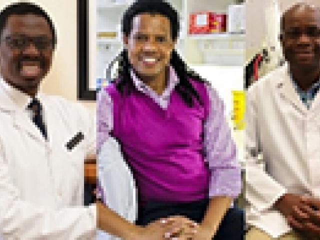 UCT researchers shine at SAMRC Scientific Merit Awards | Faculty of ...