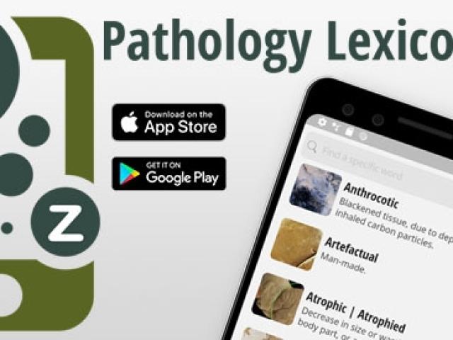 PLC LAUNCHES LANGUAGE OF PATHOLOGY APP | Pathology Learning Centre